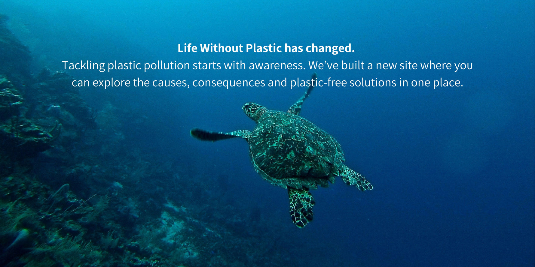 Life Without Plastic